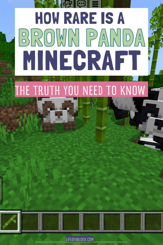 How Rare Is a Brown Panda in Minecraft?